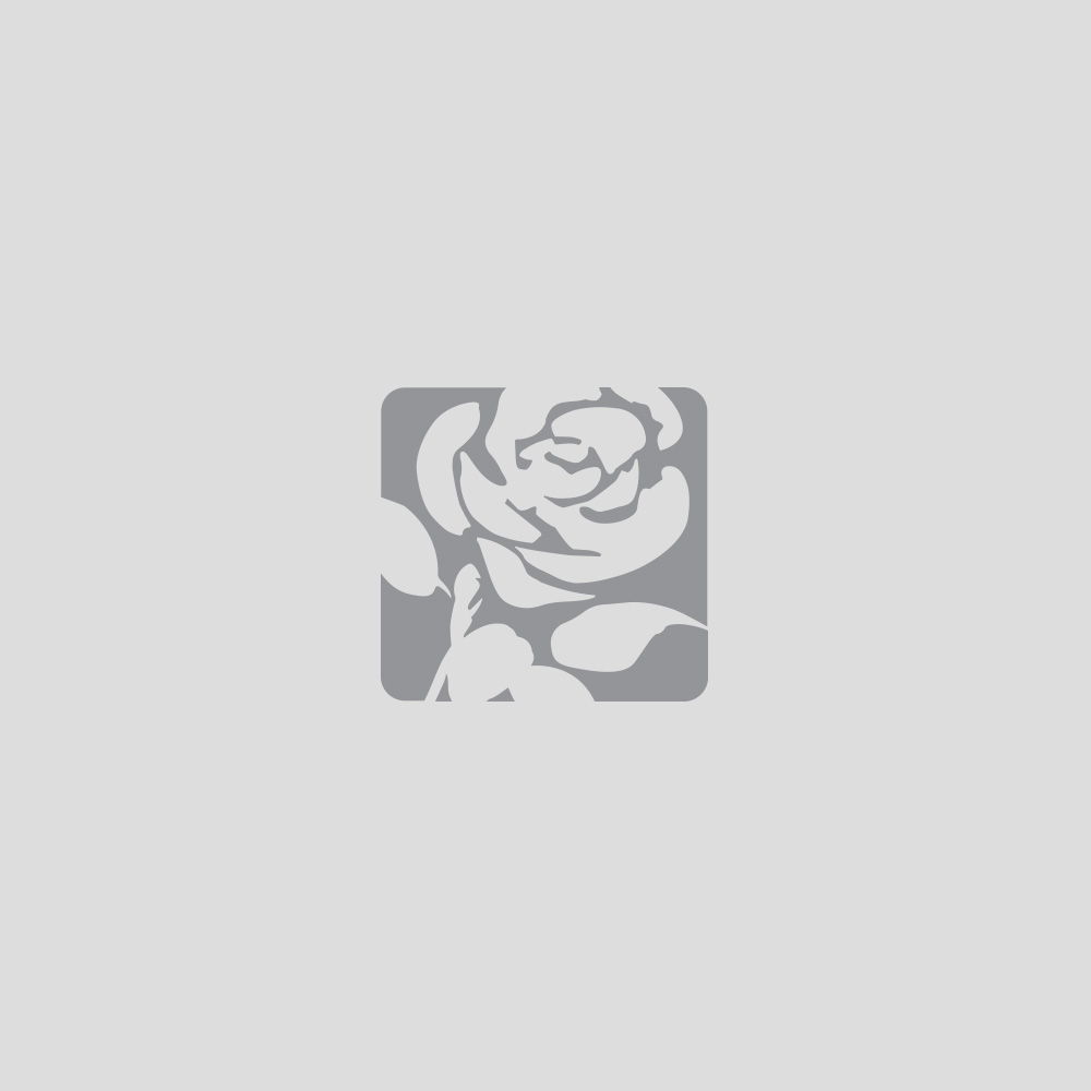 David Williams MP