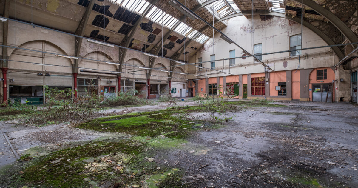 Personally Speaking: December 2024 Edition - David Williams MP